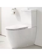 EGYEDI ÁR Grohe Essence falhoz tolható monoblokk WC csésze P