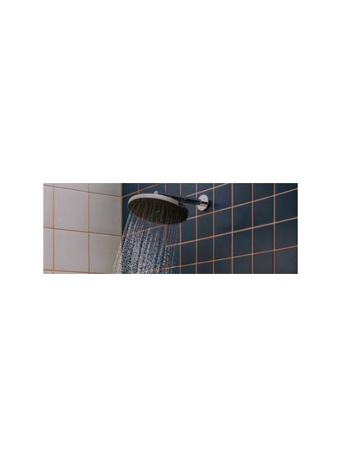 Hansgrohe Vernis Blend Zuhanykar 24 cm króm 27809000 - Fürdő